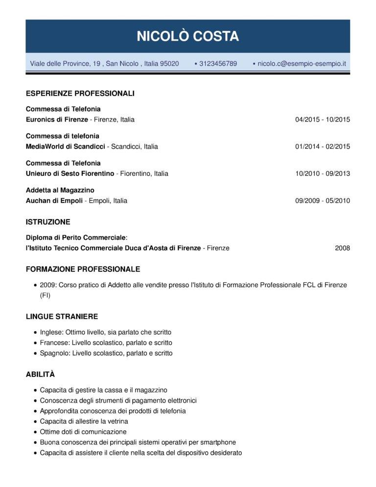 Esempio di Curriculum Vitae Professionale | ilCVPerfetto