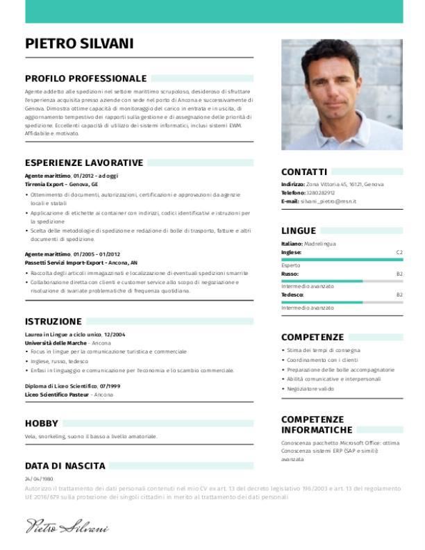 Modelli Curriculum Vitae da compilare | ilCVperfetto